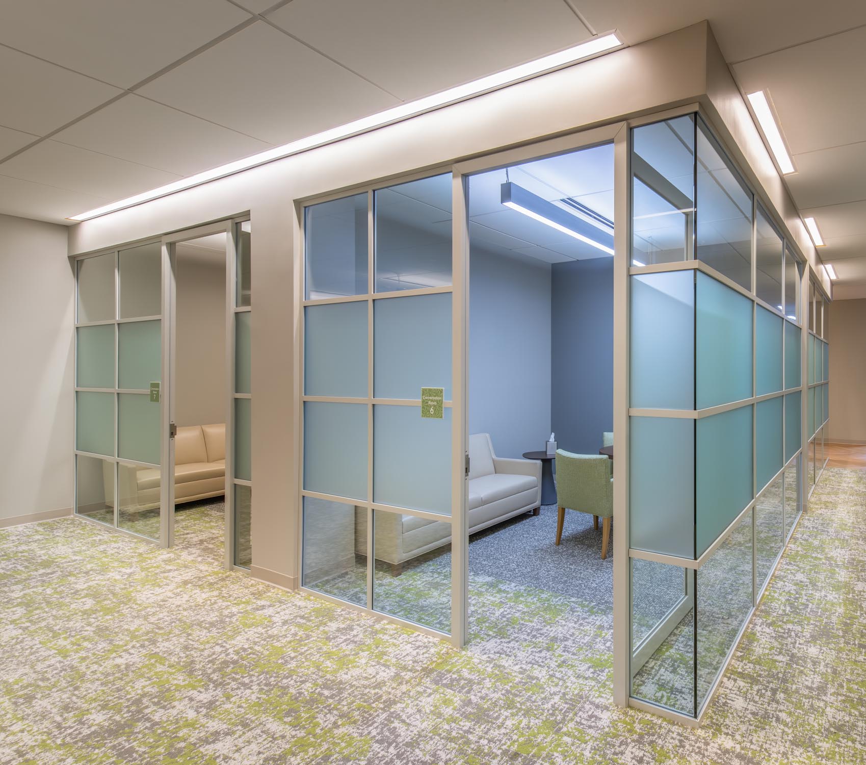 Emory Cognitive Empowerment Facility - NELSON Worldwide