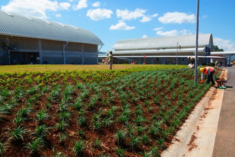 Costa Rica Productive Units - NELSON Worldwide