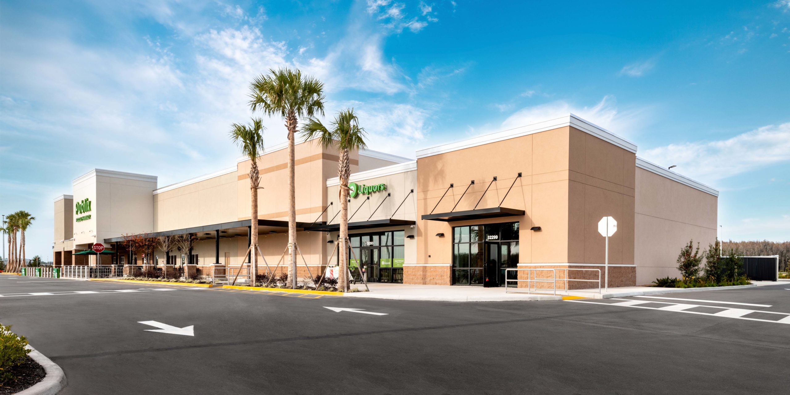 Publix Epperson Ranch - NELSON Worldwide