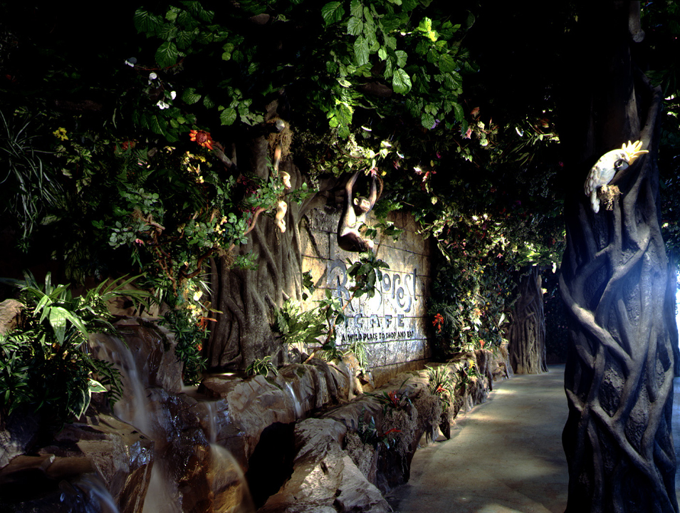 Rainforest Café - NELSON Worldwide