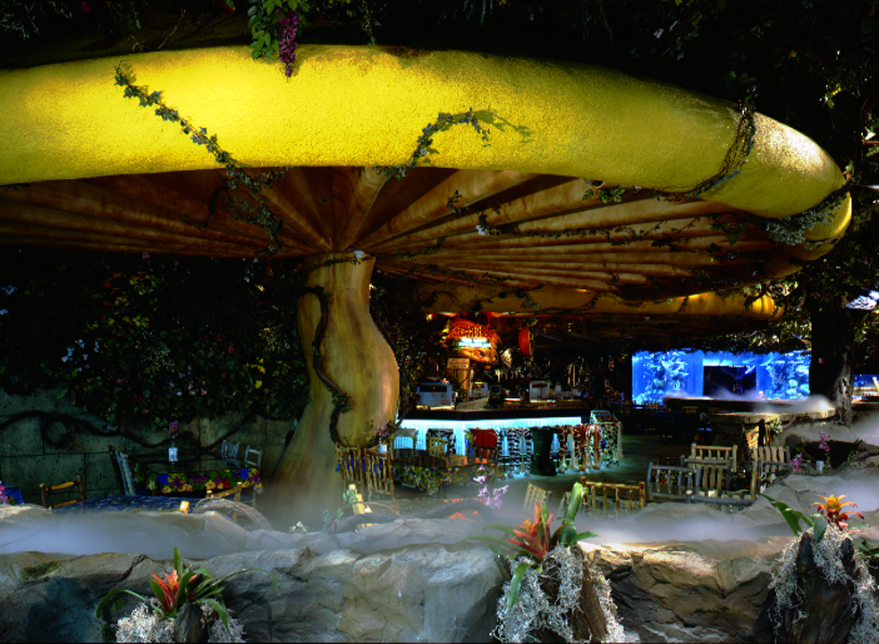 Rainforest Café - NELSON Worldwide